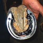Vettec Product Instructions