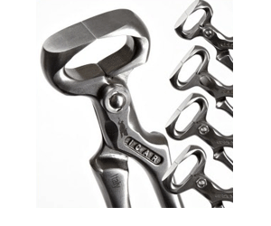 Blacksmith | Farrier | Coppersmith | Bladesmith | Equestrian