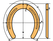 St. Croix Pony | SC2511