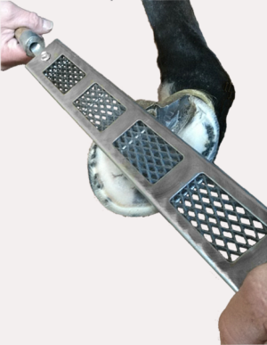 Horse Rasps