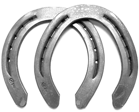 Draft Horseshoes